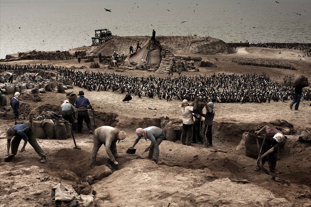 Holy Crap! A Trip to the World's Largest Guano-Producing Islands | Audubon