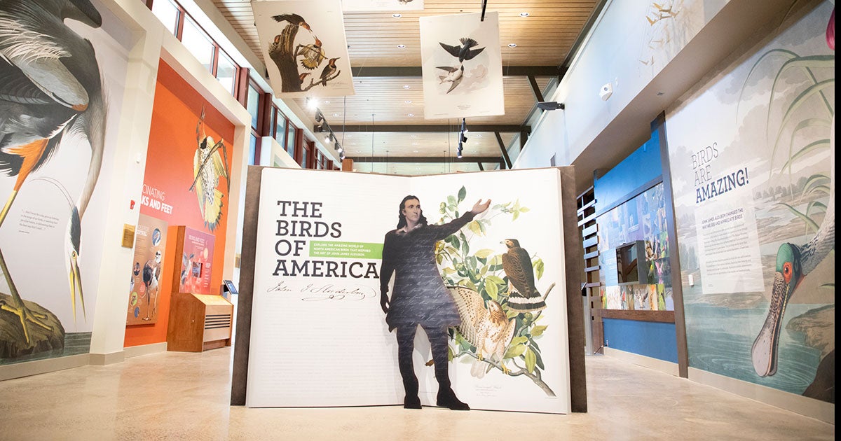 John James Audubon Center Opens at Historic Mill Grove | Audubon