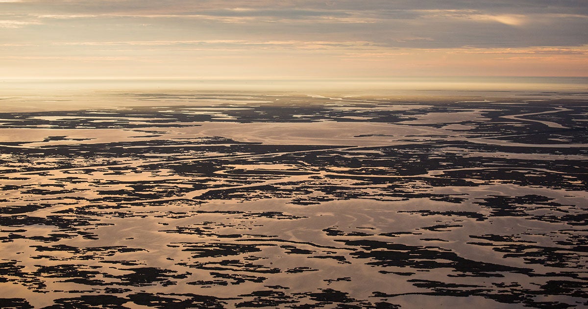 The Gulf Ecosystem Shook Off the Spill, but Faces Slower Motion ...