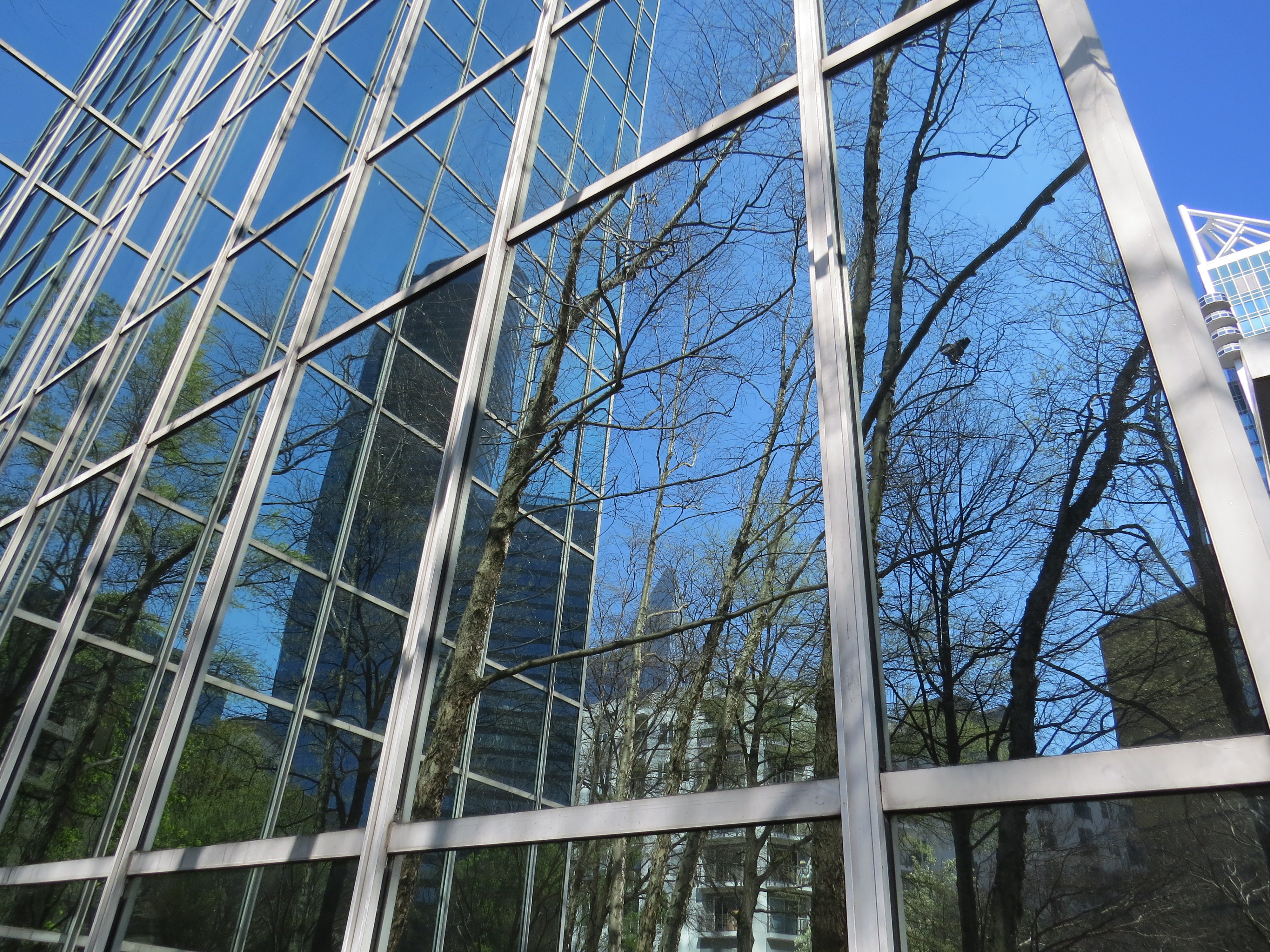 Bird-Friendly Buildings | Audubon