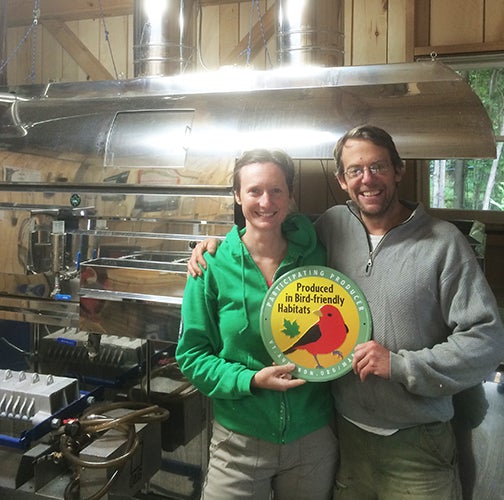 Maple Syrup Produced in Bird-Friendly Habitats | Audubon