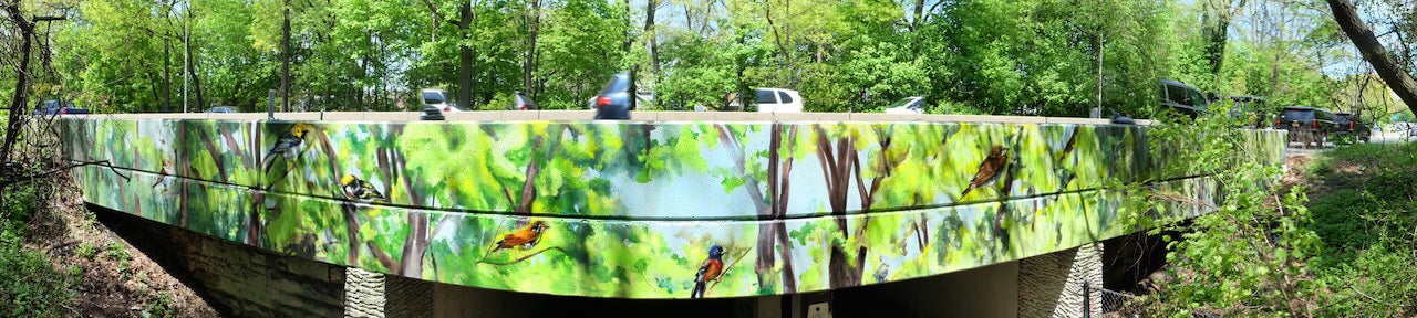 Forest Park by Cern | Audubon