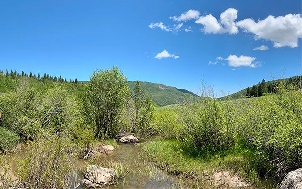 Colorado Stream Restoration Workshop | Audubon