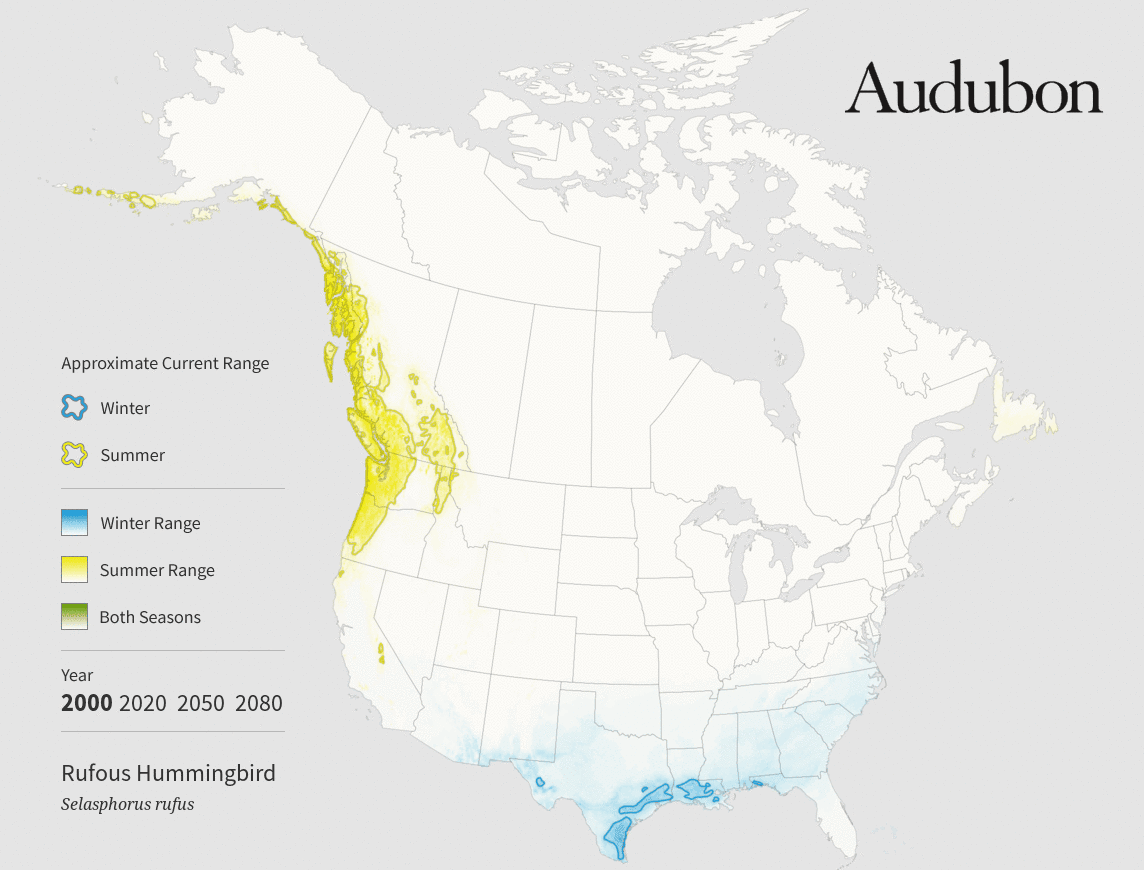 How Climate Change Threatens Hummingbirds | Audubon