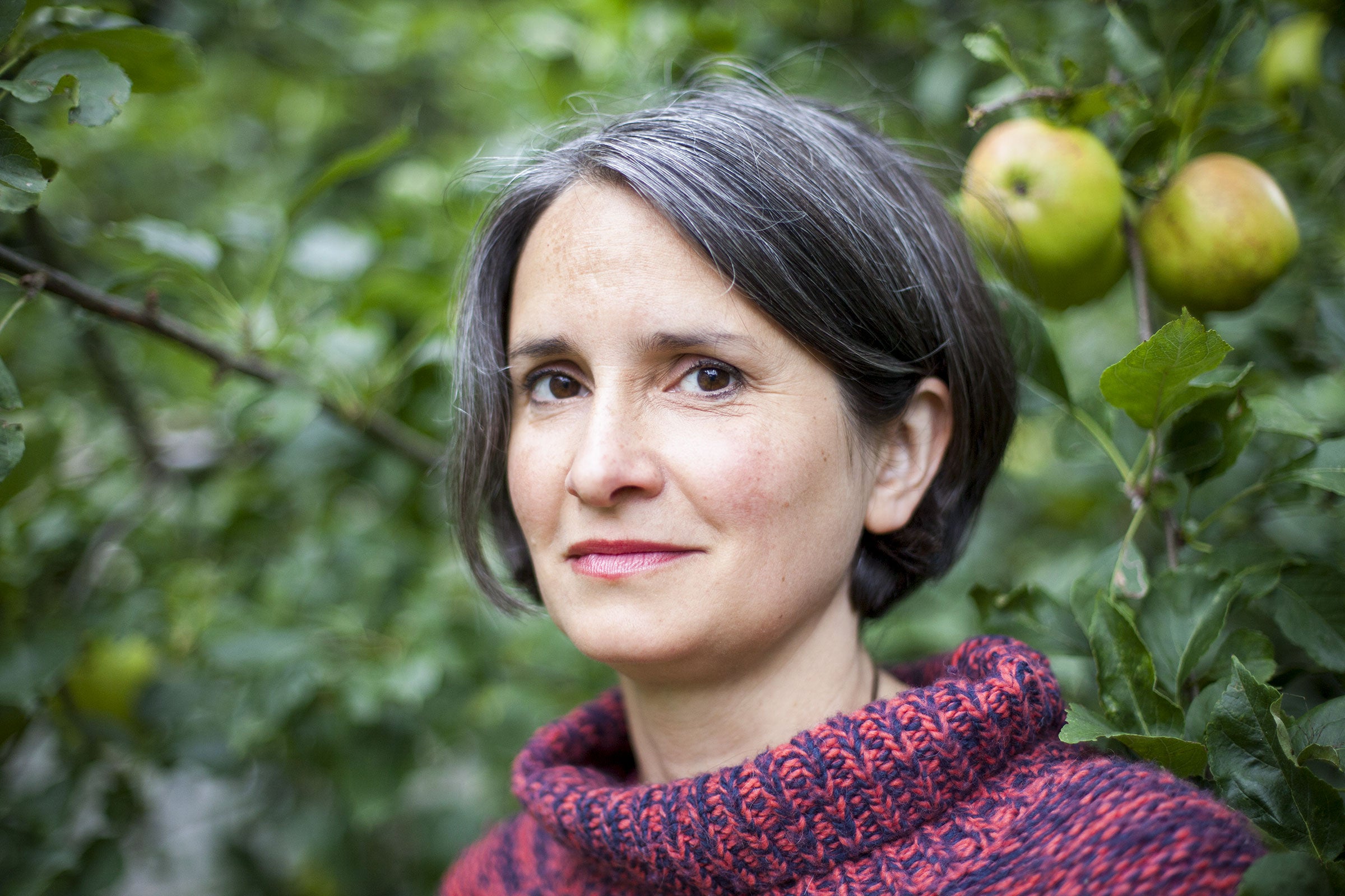 Inside the Growing Movement to Make Ecocide an International Crime ...