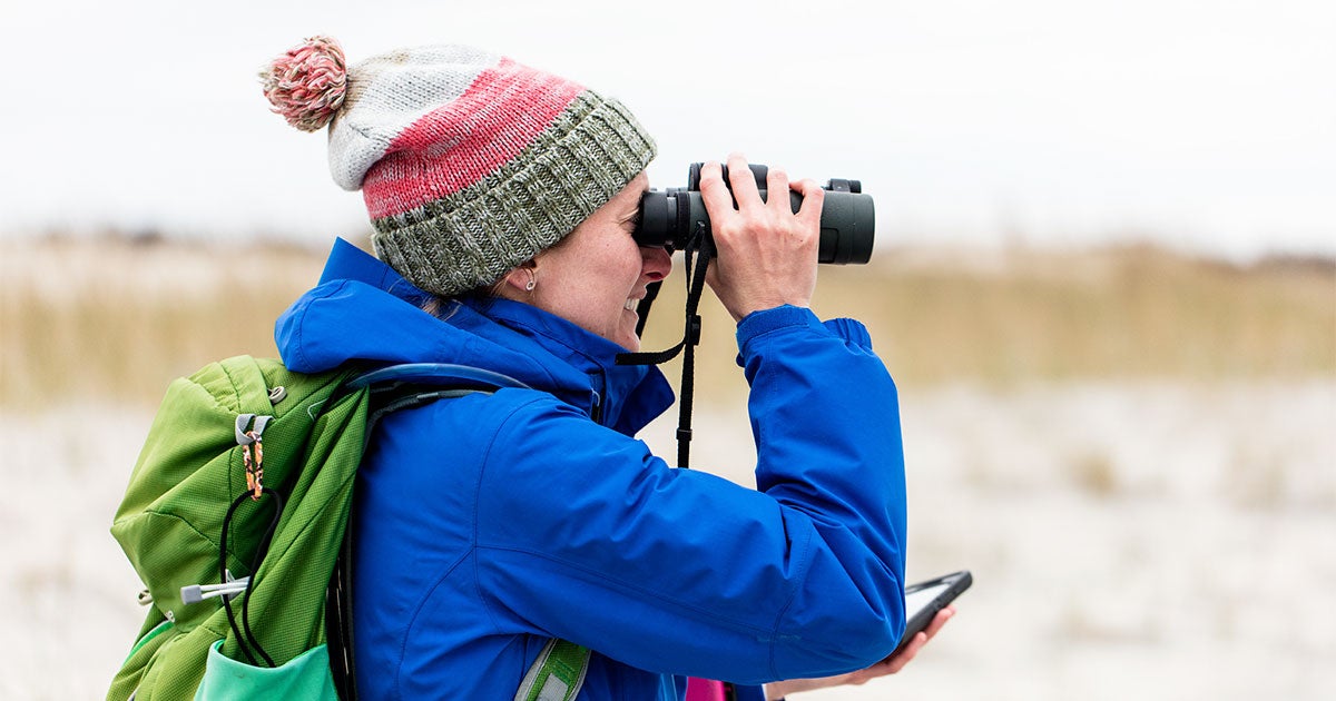 A New Nest-Tracking App Lets Researchers Retire Their Notebooks | Audubon