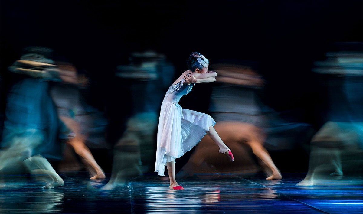 This Bizarre Bird Is a Master of Choreography | Audubon