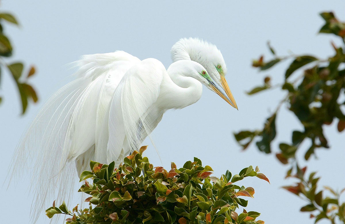 More than 500 Organizations in All 50 States Urge Congress to Defend ...