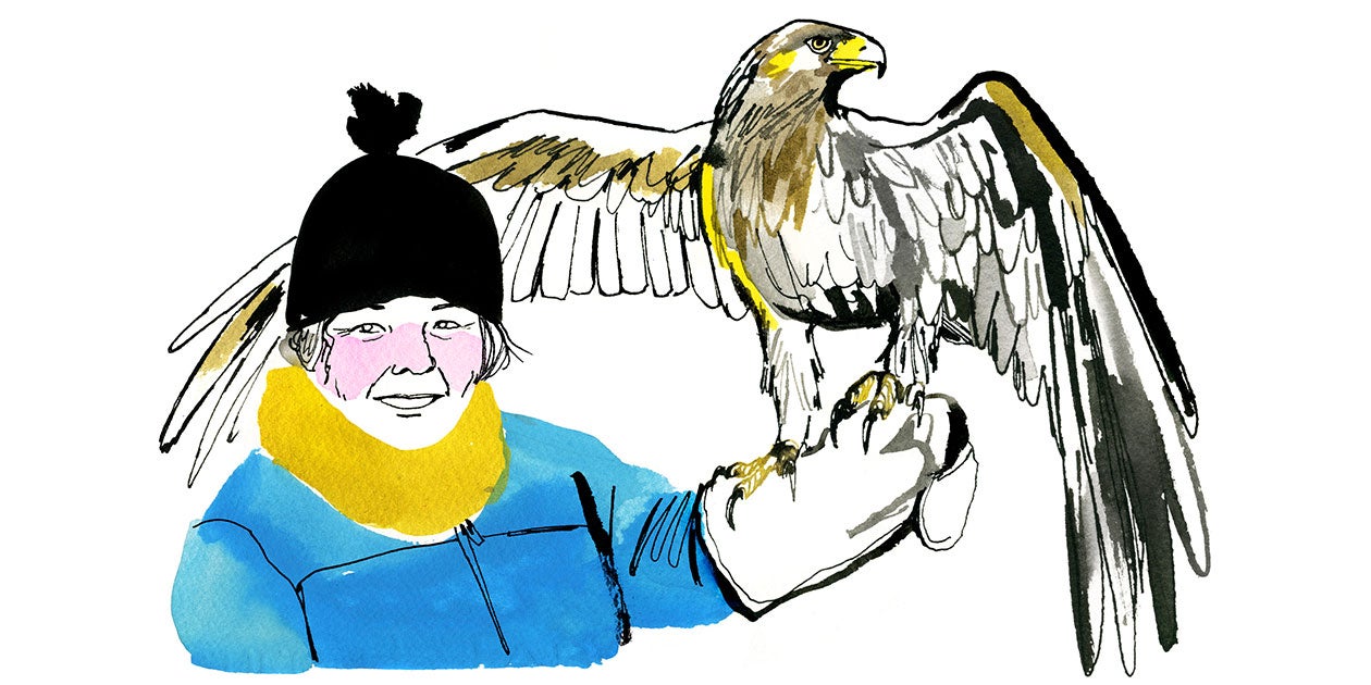 How Carol McIntyre Became a Rock Star Among Raptor Biologists | Audubon