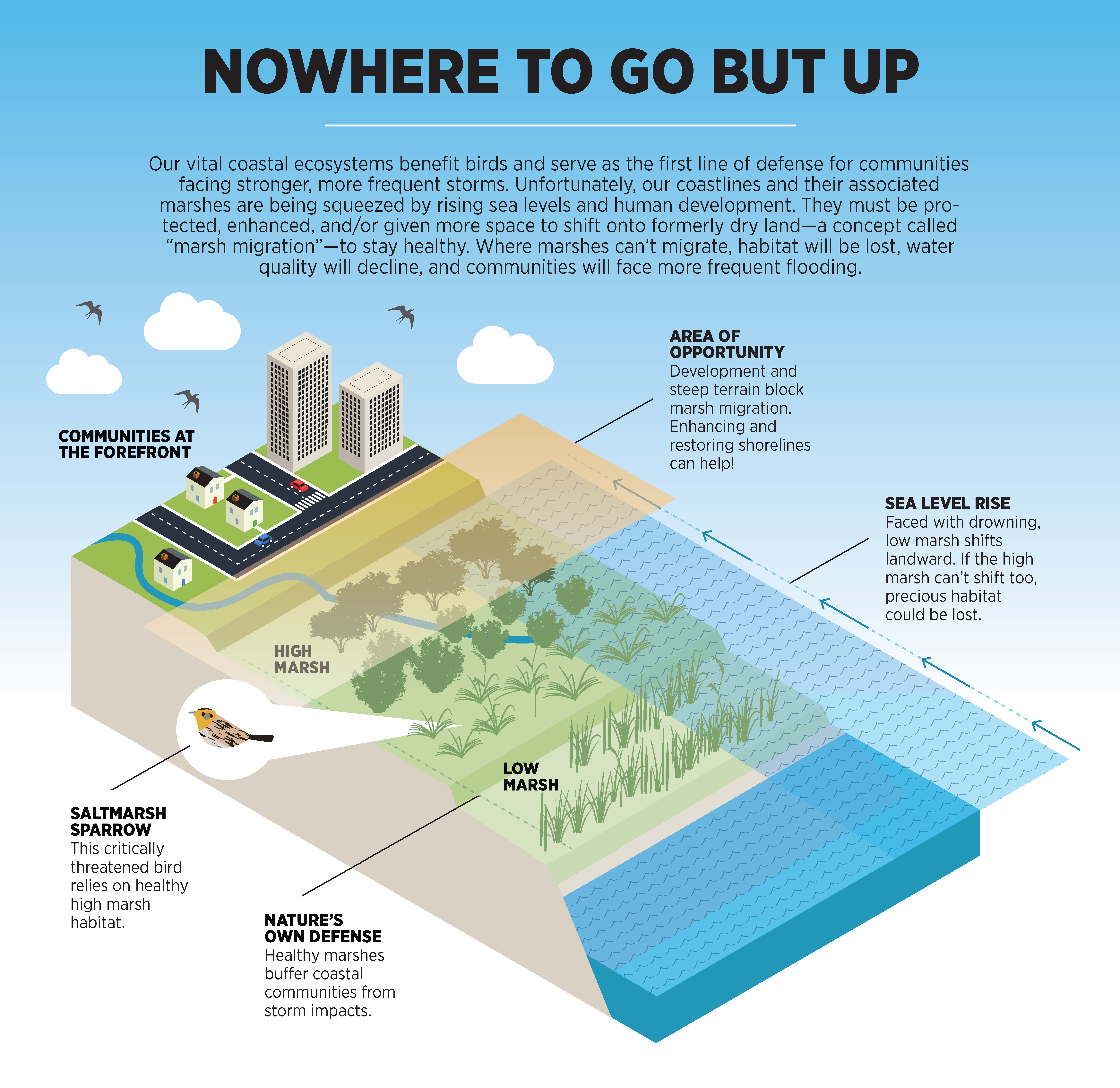 Our Best Defense Against Hurricanes Is to Modernize This Coastal Law ...