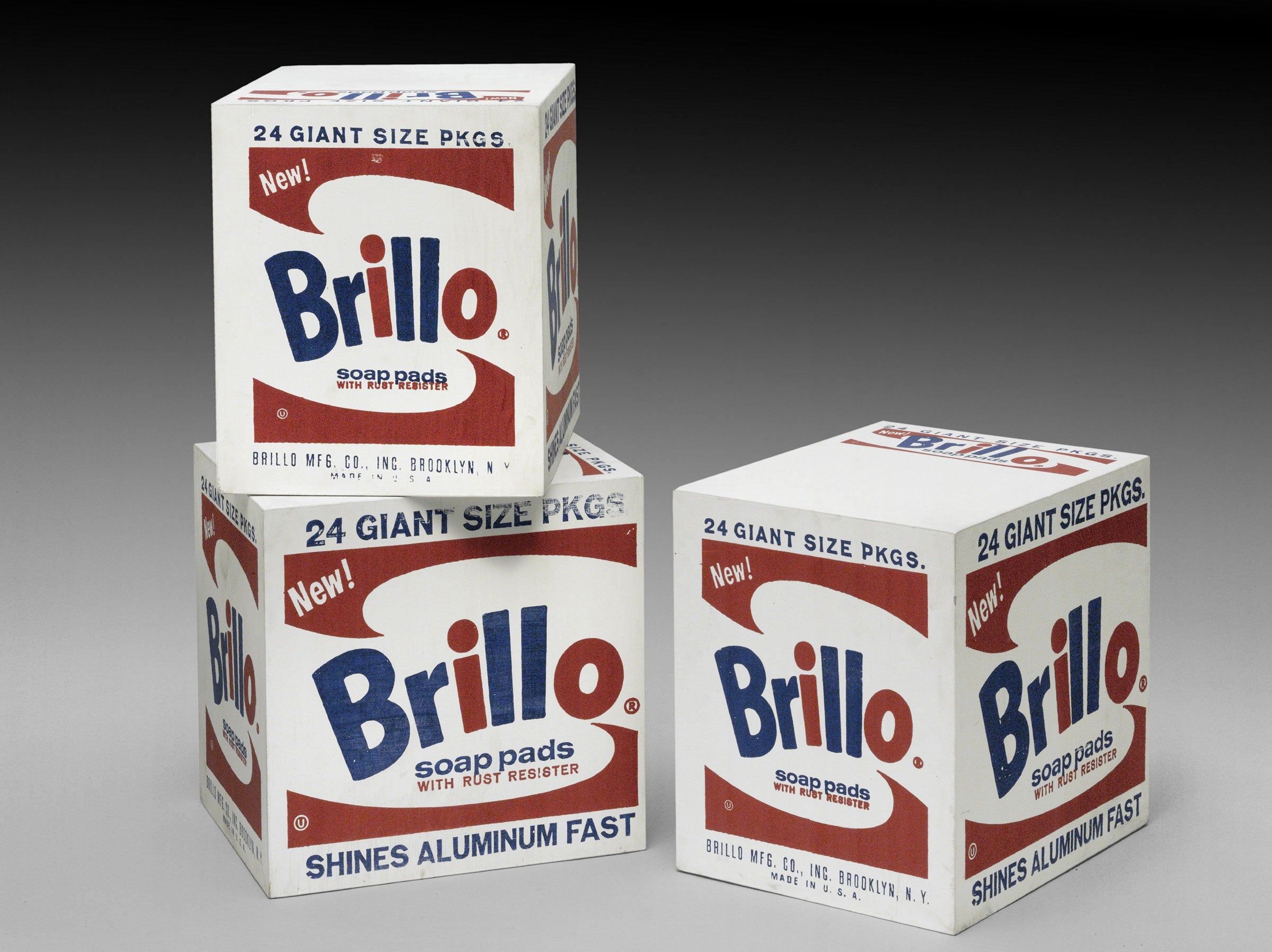 What Drawings of Birds and Brillo Pads Tell Us About Ourselves | Audubon