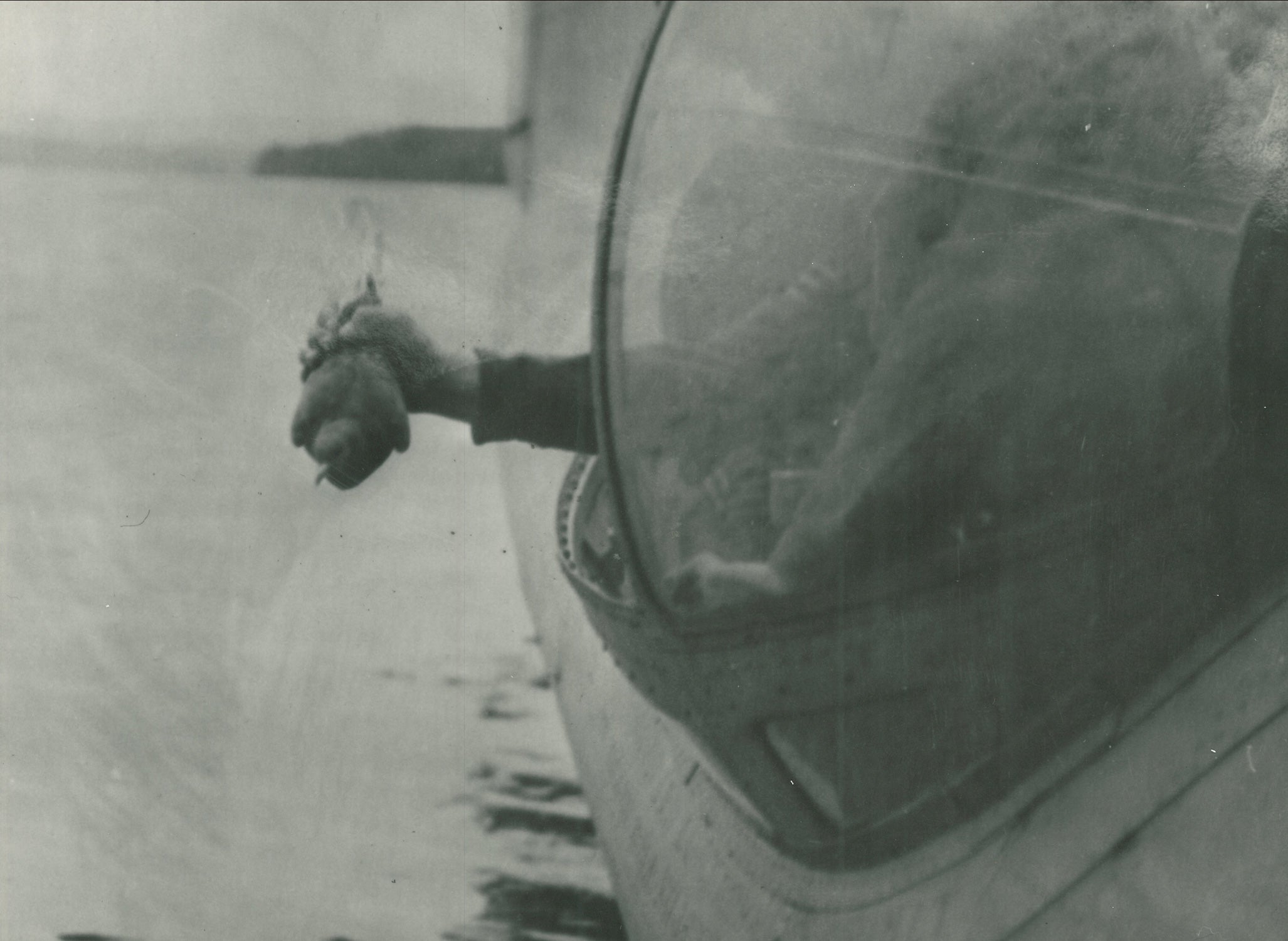 Eyes in the Sky: A Short History of Bird Spies | Audubon