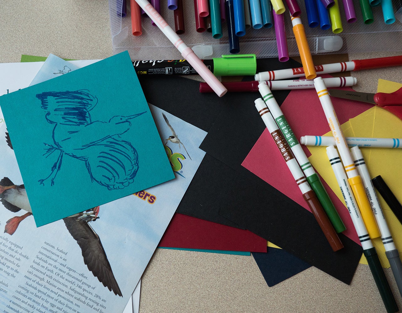 Art Is for the Birds | Audubon