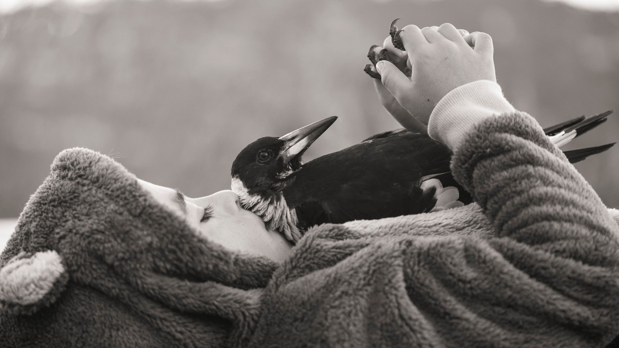 Penguin the Magpie: The Bird That Became a Bloom | Audubon
