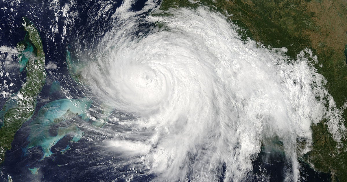 How Bird Researchers Are Tracking the Impacts of Intensifying Hurricane ...