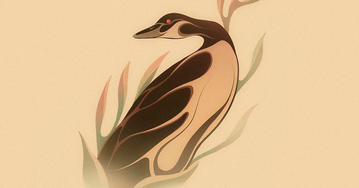 Reimagining the Canada Goose | Audubon