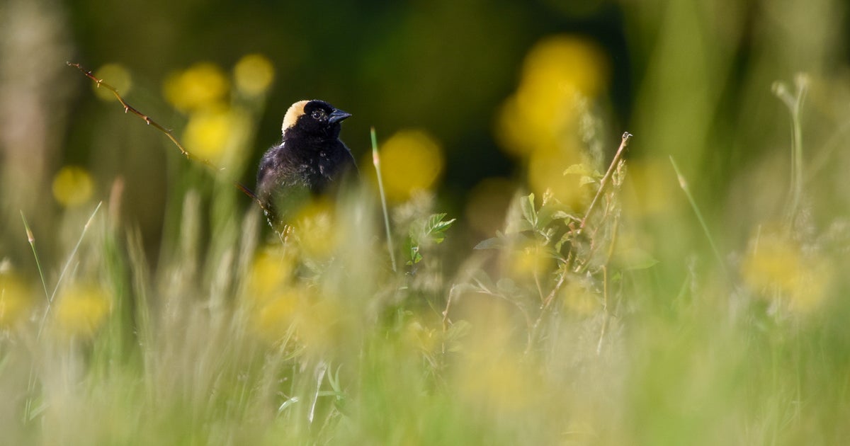 UN Report Offers Solutions to Reducing Emissions and Confronting ...