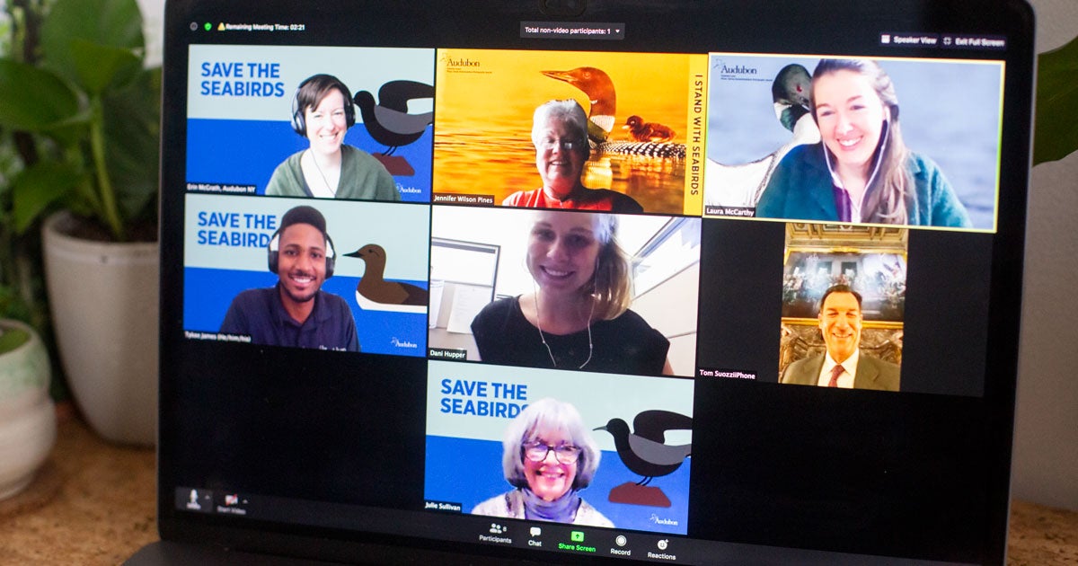 Largest-ever Seabird Action Week Demonstrates the Power of the Audubon ...