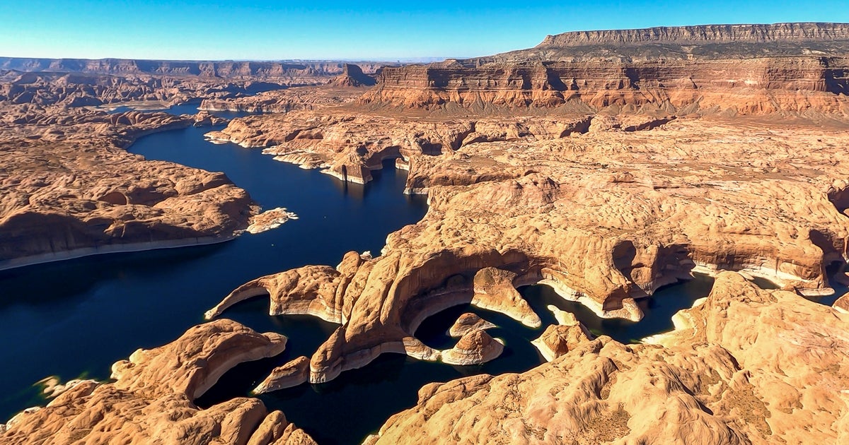 A Path through the Brewing Climate Crisis on the Colorado River | Audubon