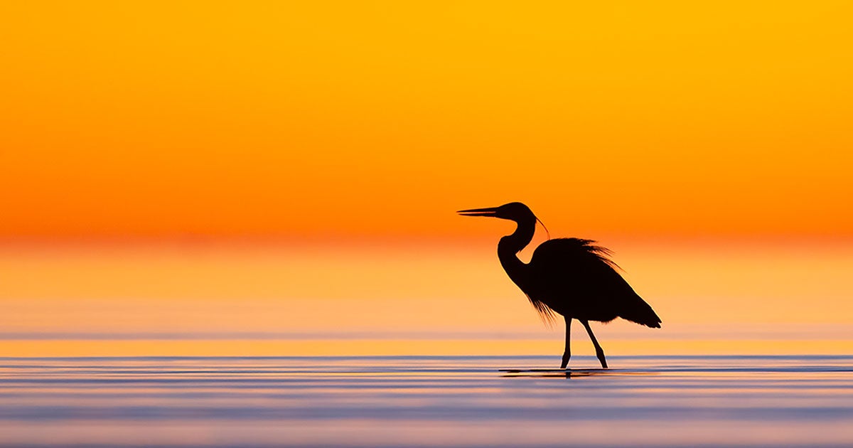 Drought? This Is What Climate Change Looks like in the West | Audubon