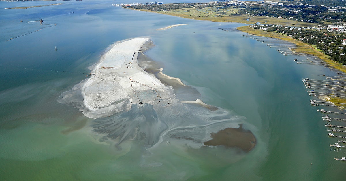 One Good Turn Deserves Another | Audubon