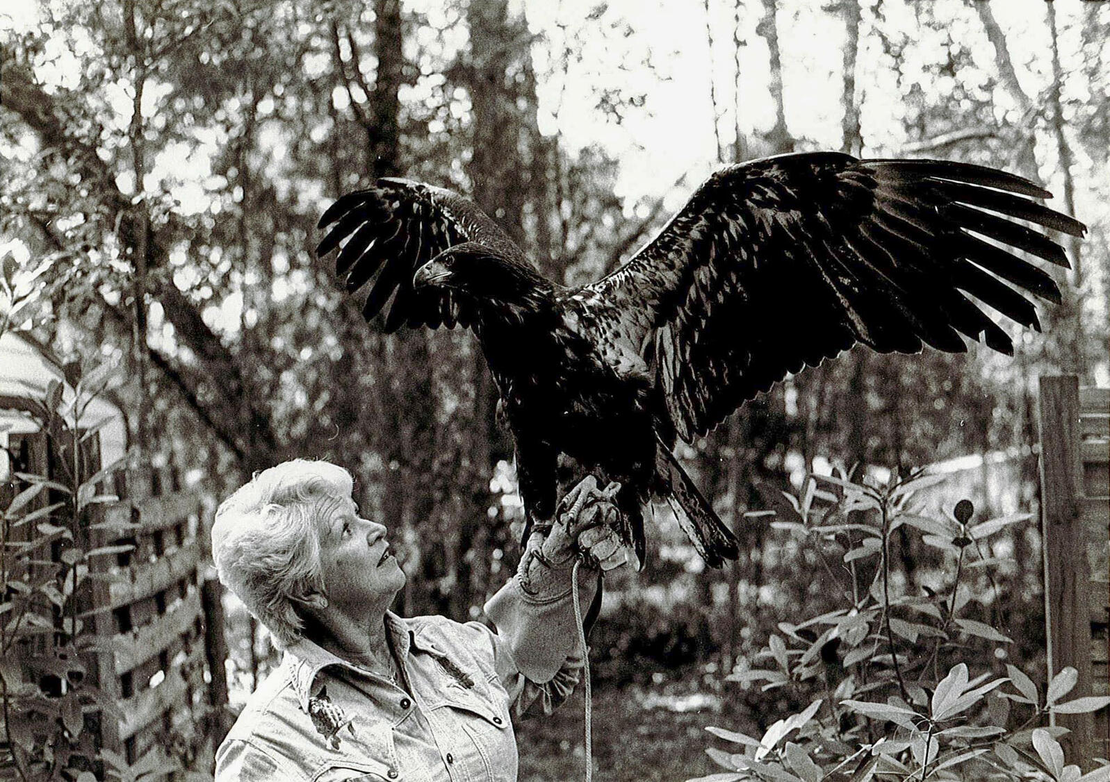 Meet The Woman Who Lived in a Bald Eagle’s Nest to Save Raptors | Audubon