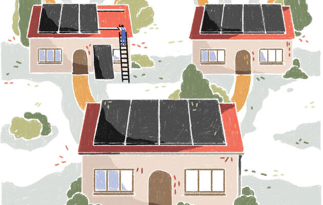 Your Guide to Taking Climate Action | Audubon