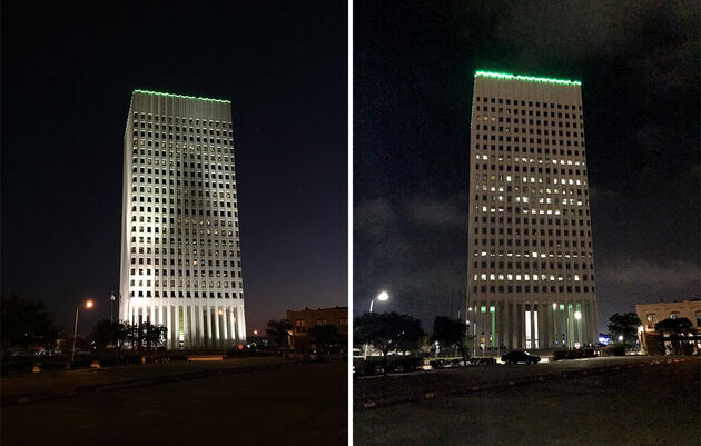 Four Decades of Building Strike Records Point to ‘Super Collider’ Birds ...