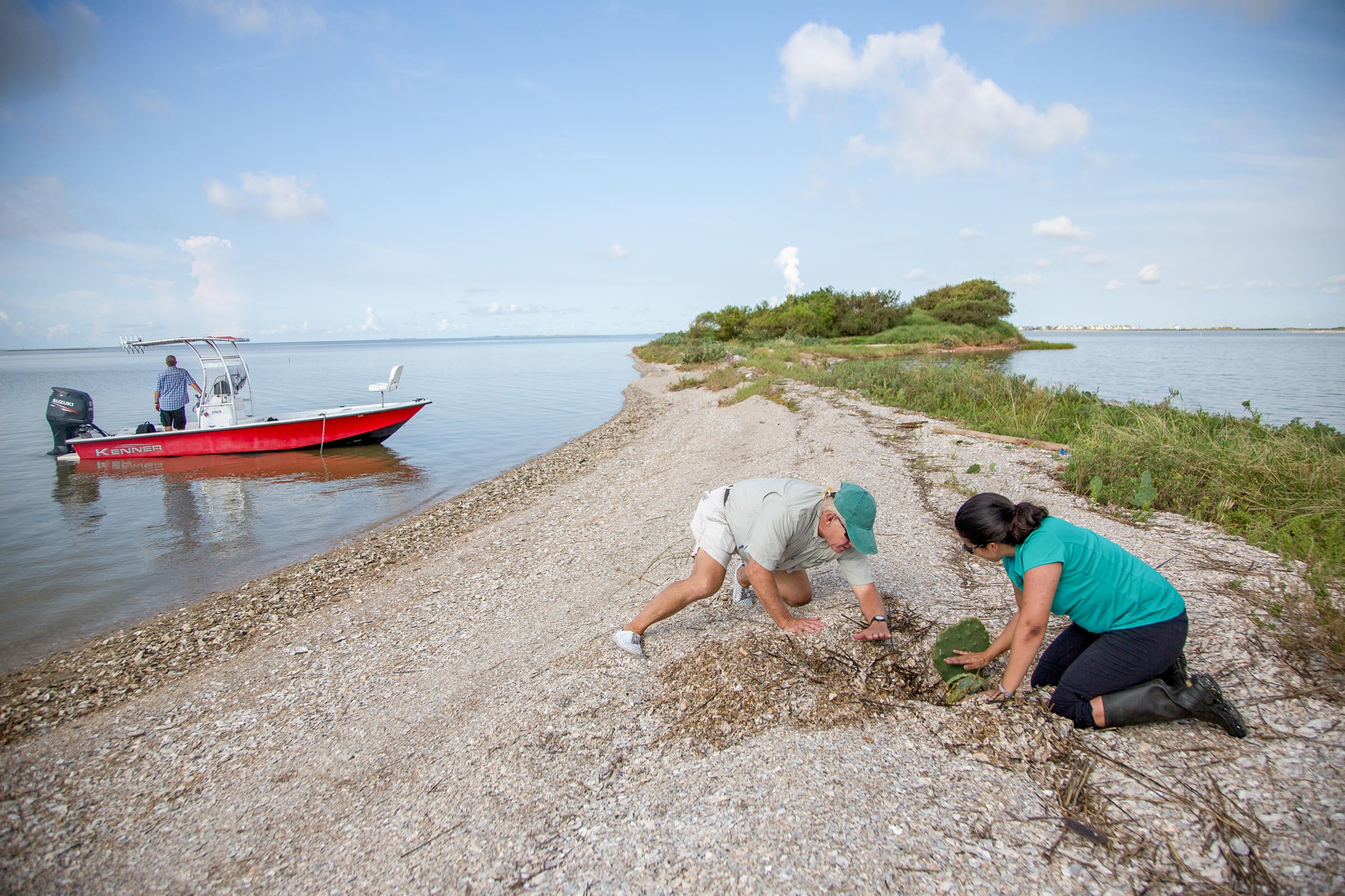 On the Ground with Audubon Texas After Hurricane Harvey | Audubon