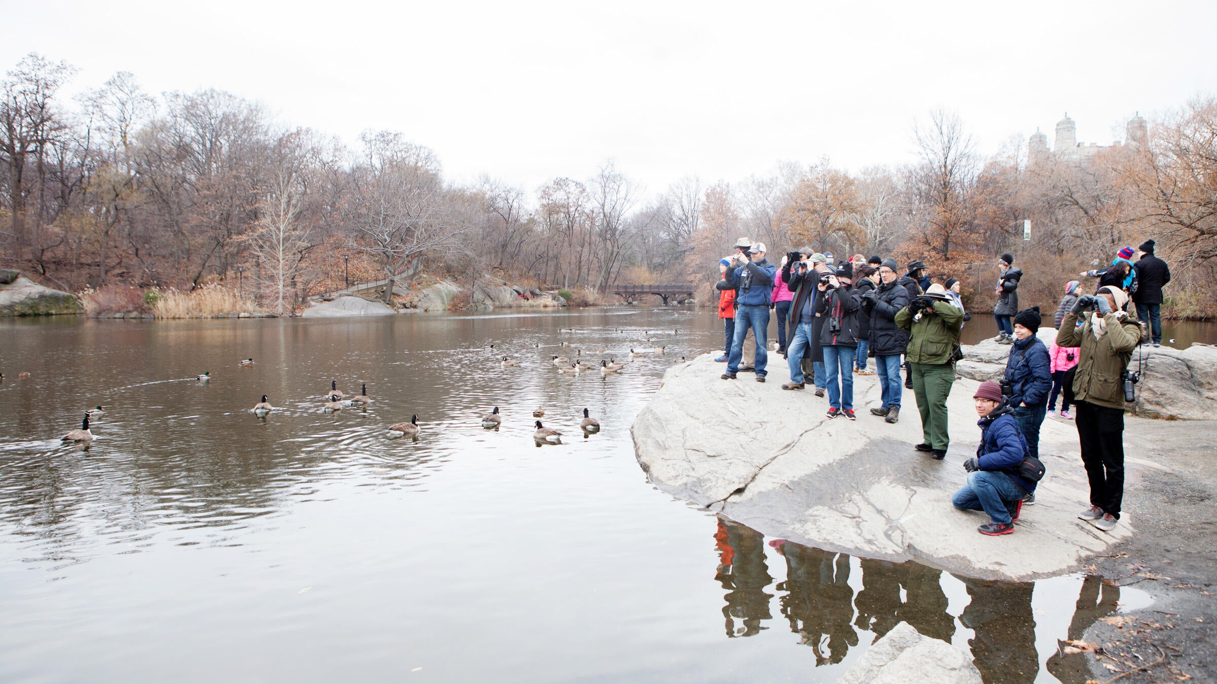 Christmas Bird Count Compiler Resources | Audubon