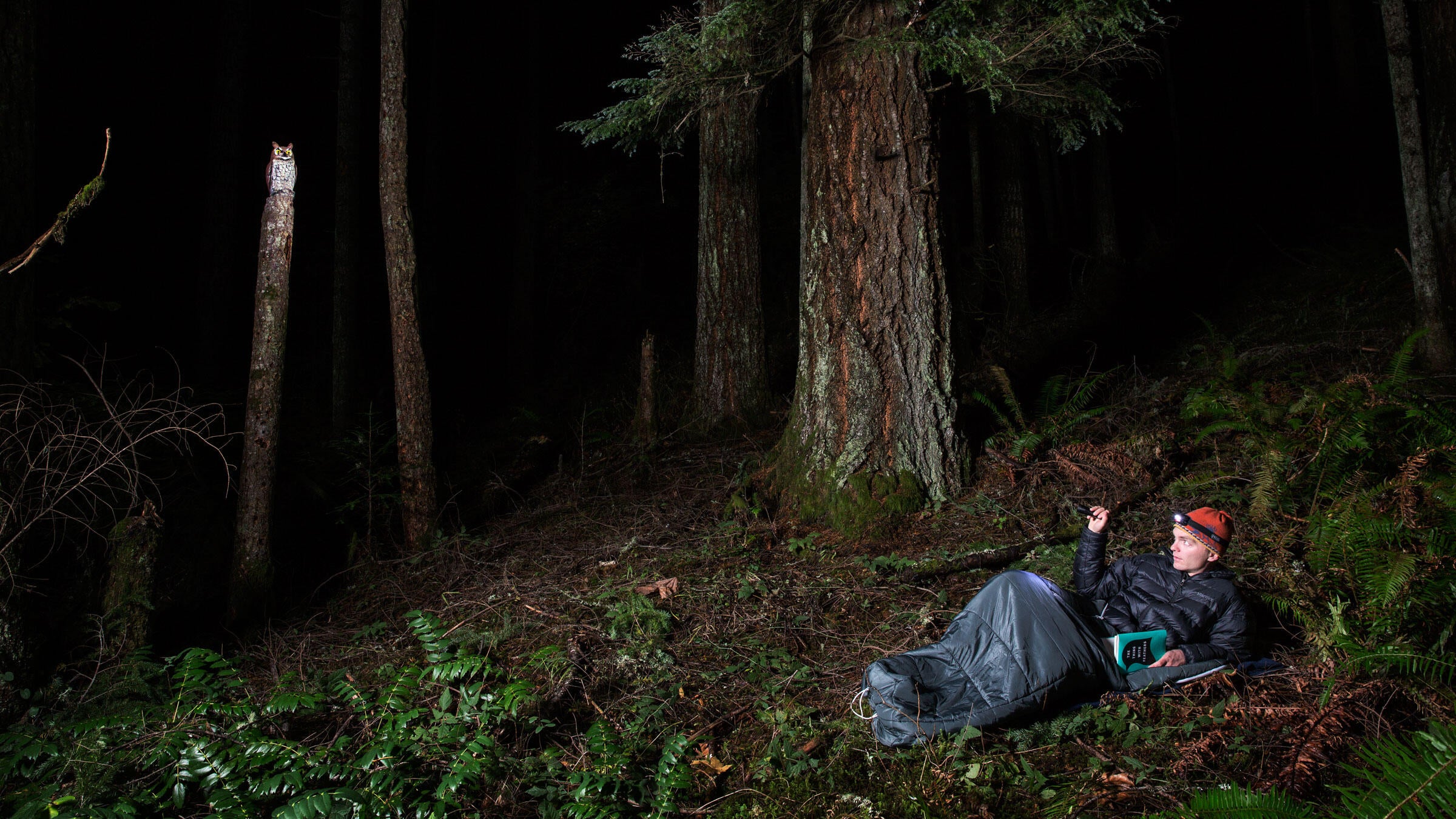 Birding Without Borders | Audubon