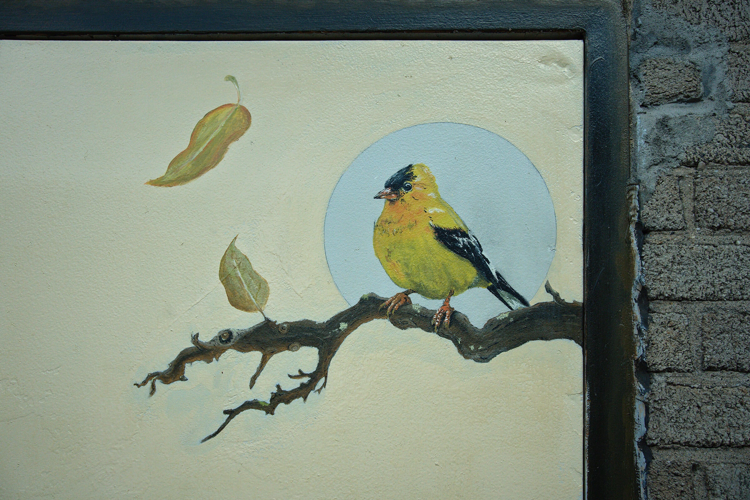American Goldfinch by Samuel Medina | Audubon