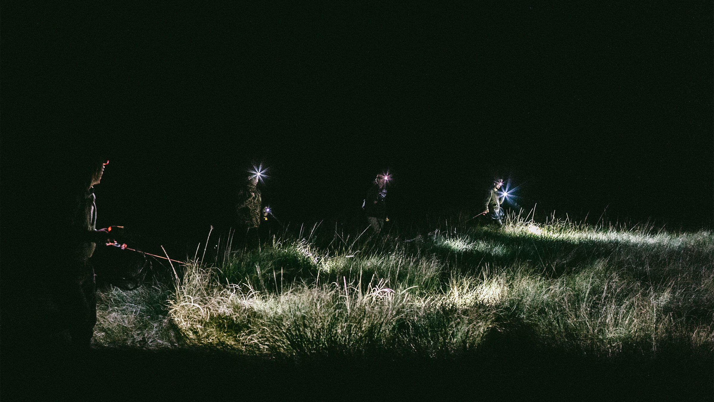 The Secret Lives of Black Rails, and the Scientists Who Seek Them | Audubon