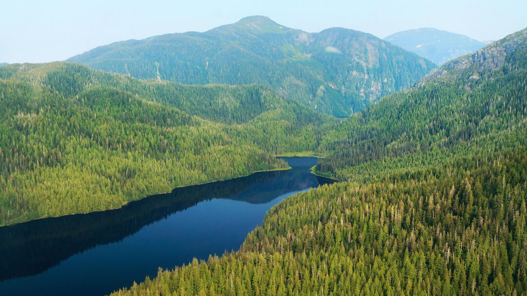Tongass National Forest | Audubon