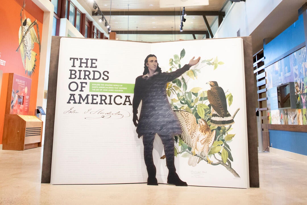 John James Audubon Center Opens at Historic Mill Grove | Audubon