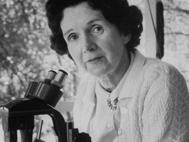 The Rachel Carson Award | Audubon