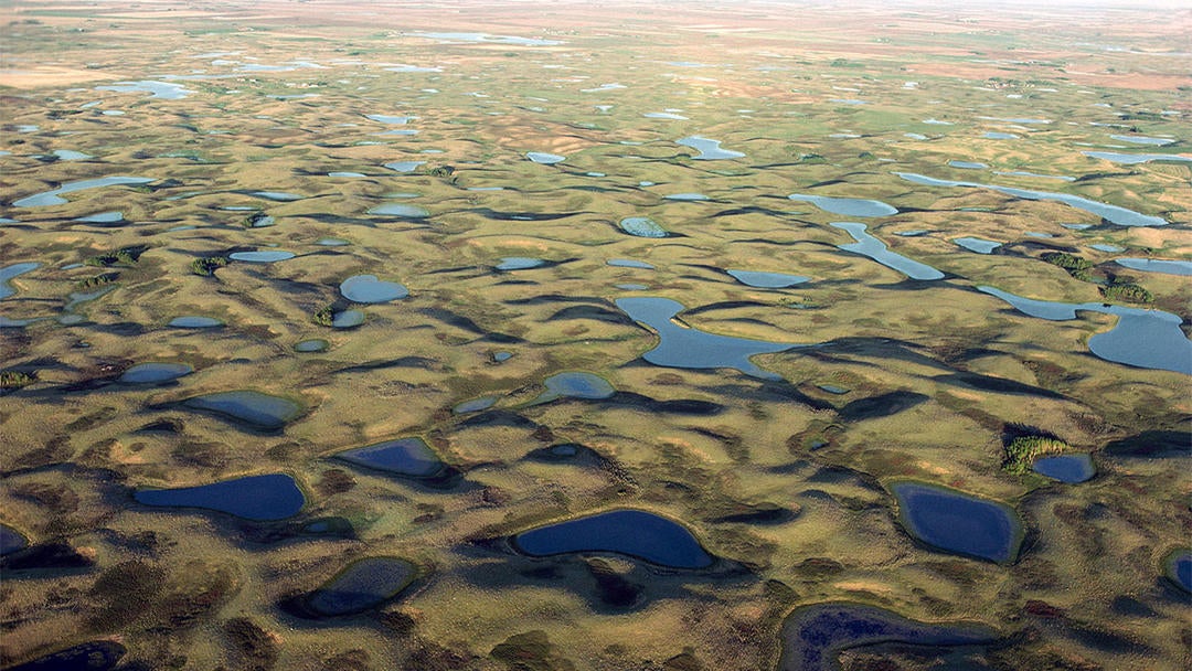 The Waters of the United States (WOTUS) Rule, a.k.a. the Clean Water ...