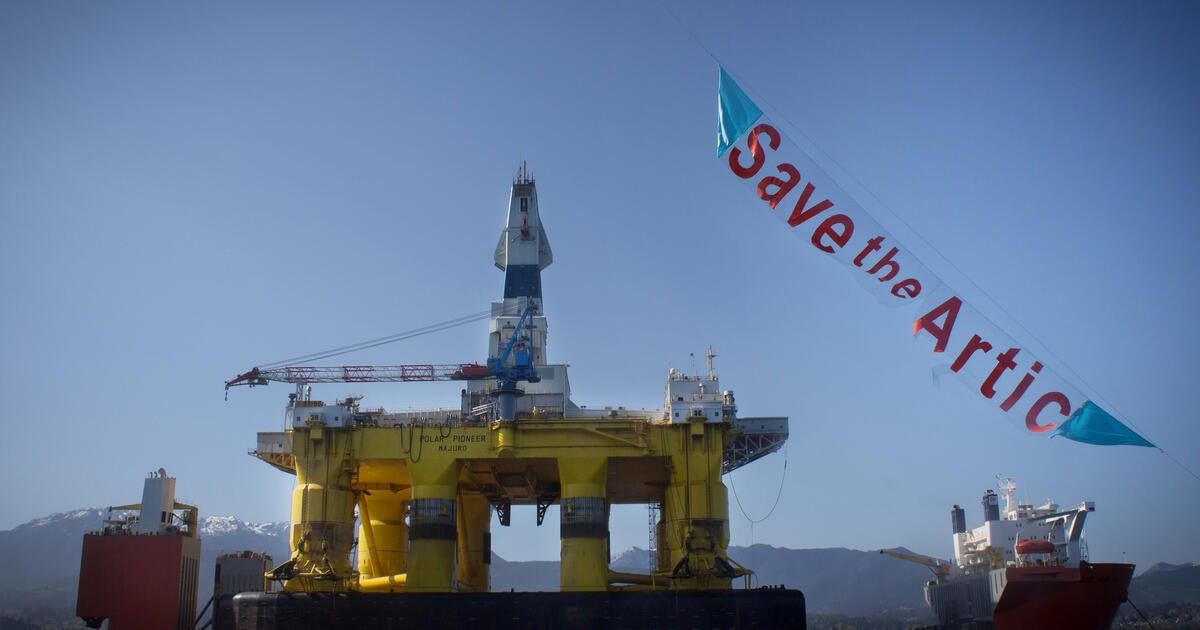 Shell Game | Audubon