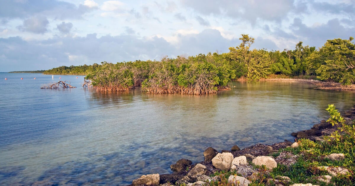 Biscayne National Park | Audubon