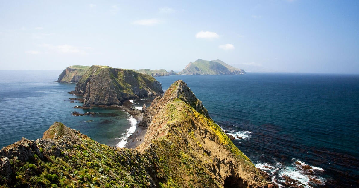 Channel Islands National Park | Audubon