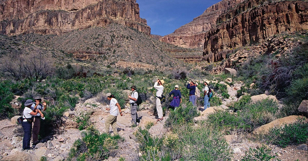 Climate Change Is Hitting National Parks Harder Than Anywhere Else in ...