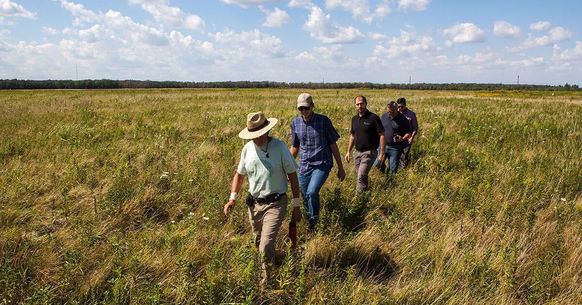 Get Covered for Tick Season With These Eight Expert Tips | Audubon