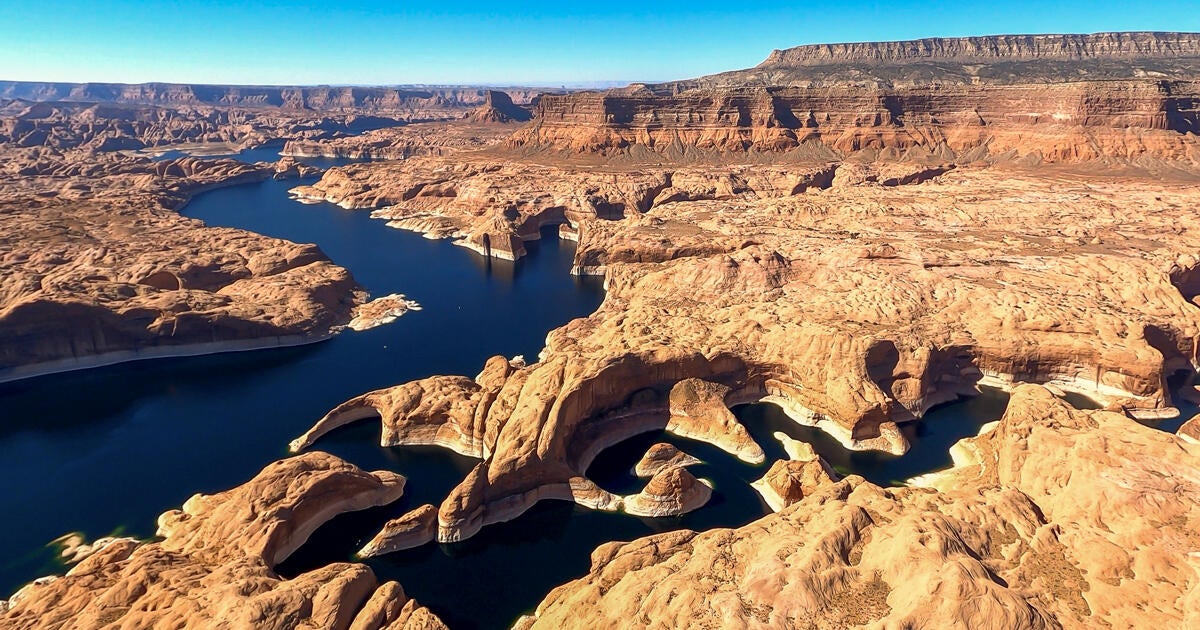 A Path through the Brewing Climate Crisis on the Colorado River | Audubon