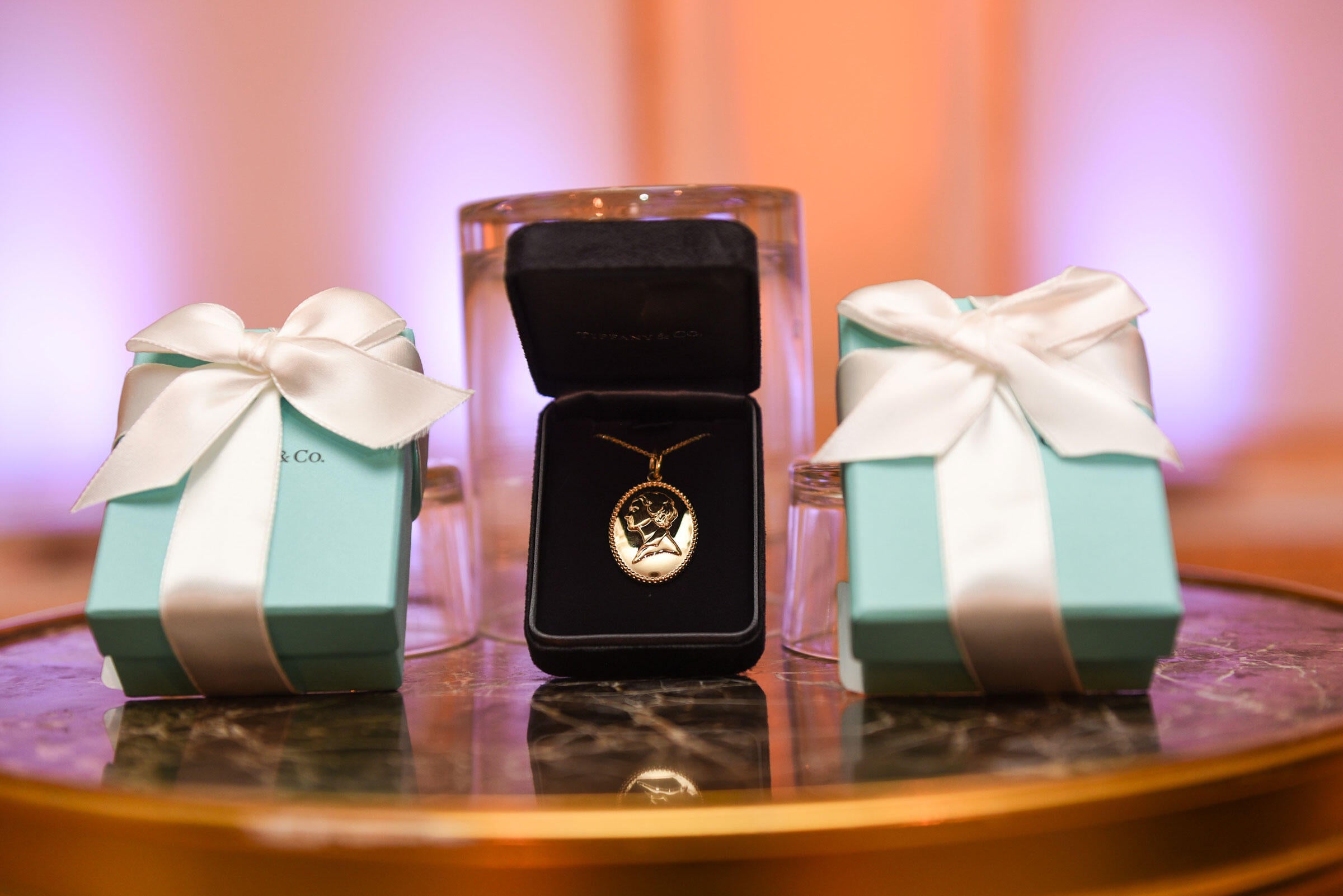 Audubon’s 14th Annual Women in Conservation Luncheon Honors Jamie ...