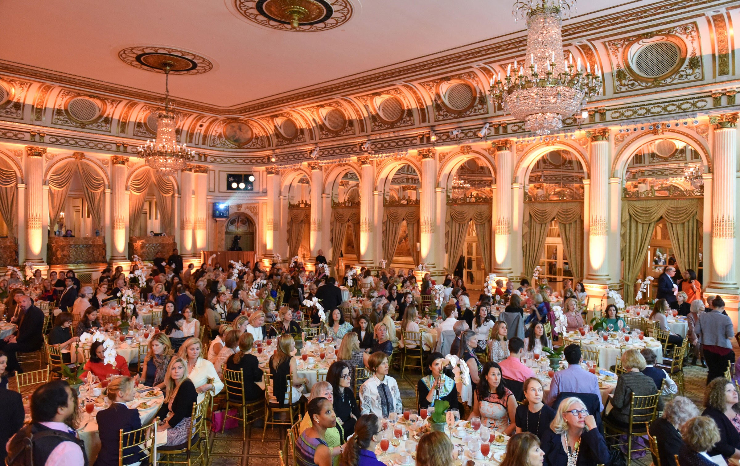 Audubon’s 14th Annual Women in Conservation Luncheon Honors Jamie ...