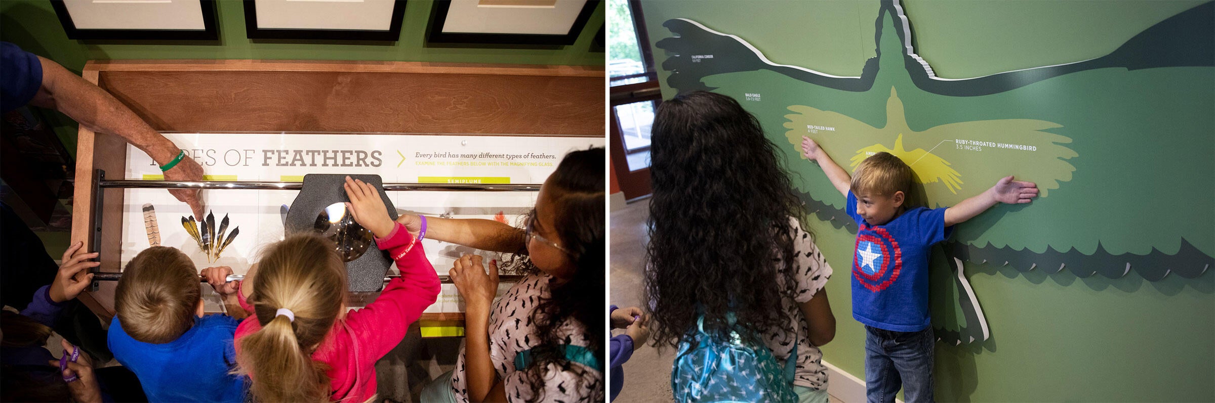 John James Audubon Center Opens at Historic Mill Grove | Audubon