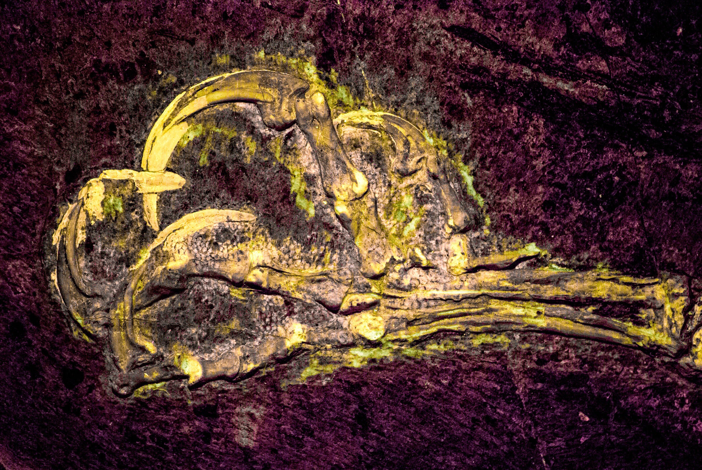 How Lasers Are Revealing Hidden Evolutionary Clues in Ancient Bird ...