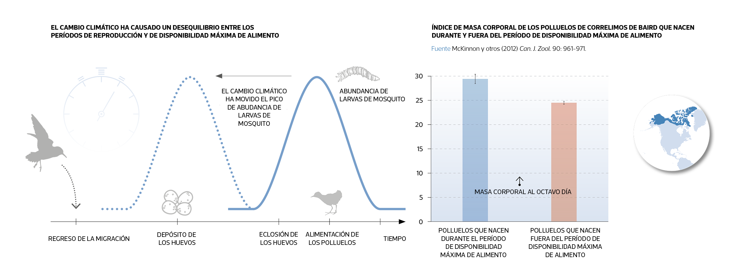 What Birds Tell Us About Climate Change's Threats | Audubon
