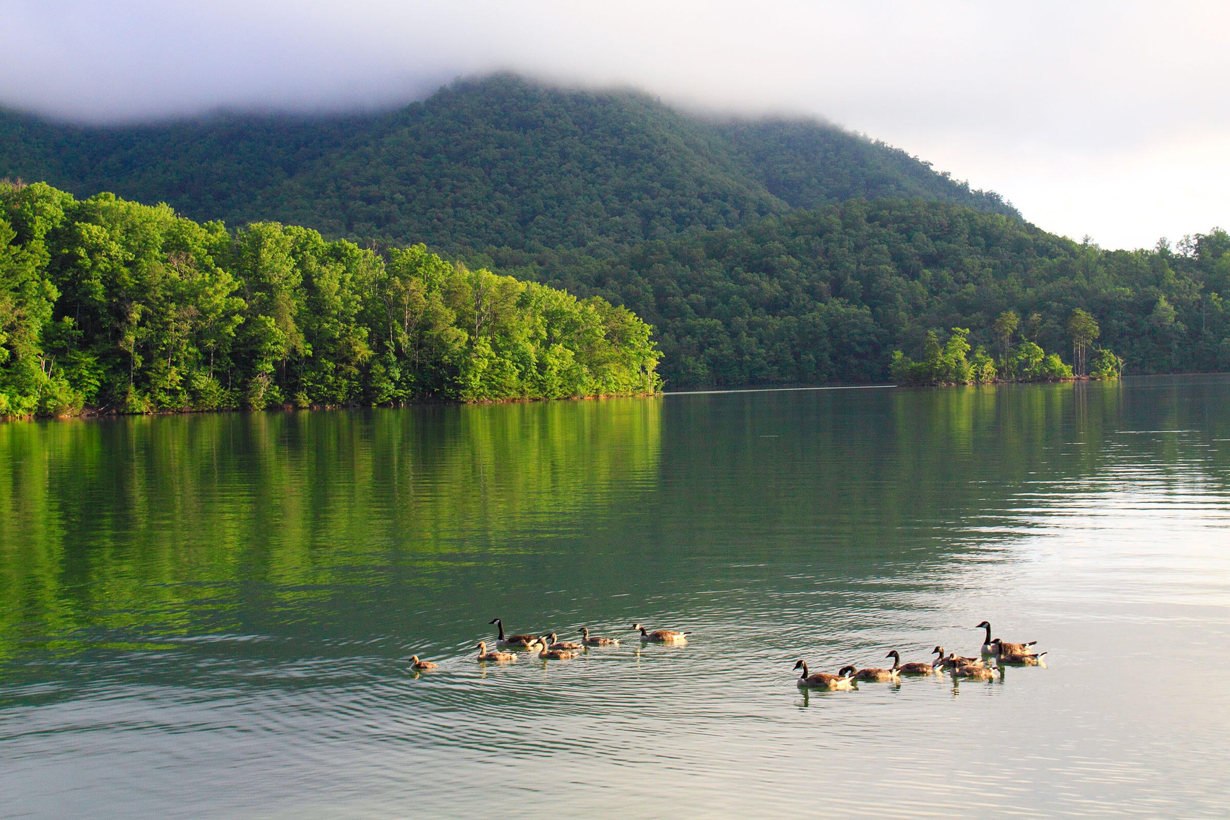 A Bipartisan Deal Could Save a Key Conservation Program About to Expire ...