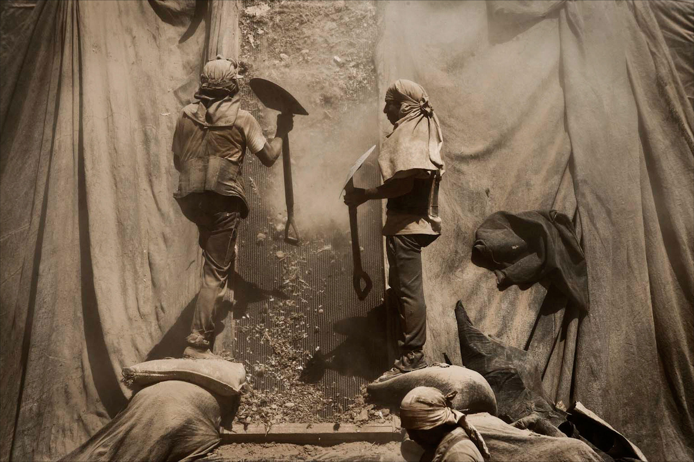 Holy Crap! A Trip to the World's Largest Guano-Producing Islands | Audubon